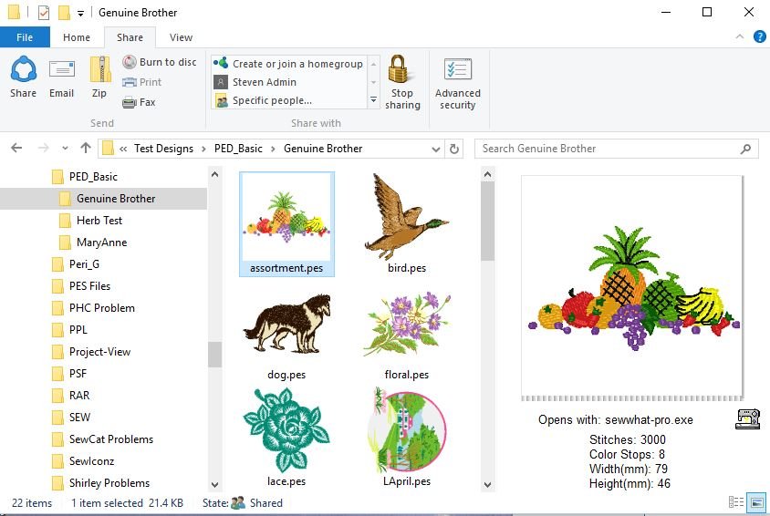 SewIconz Embroidery Iconizer – S & S Computing